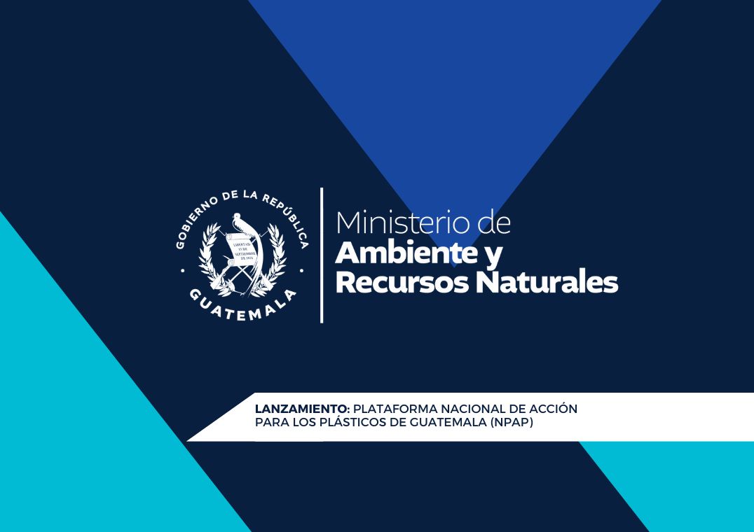 Plataforma Nacional de Acción para los Plásticos de Guatemala (NPAP) - ALTA